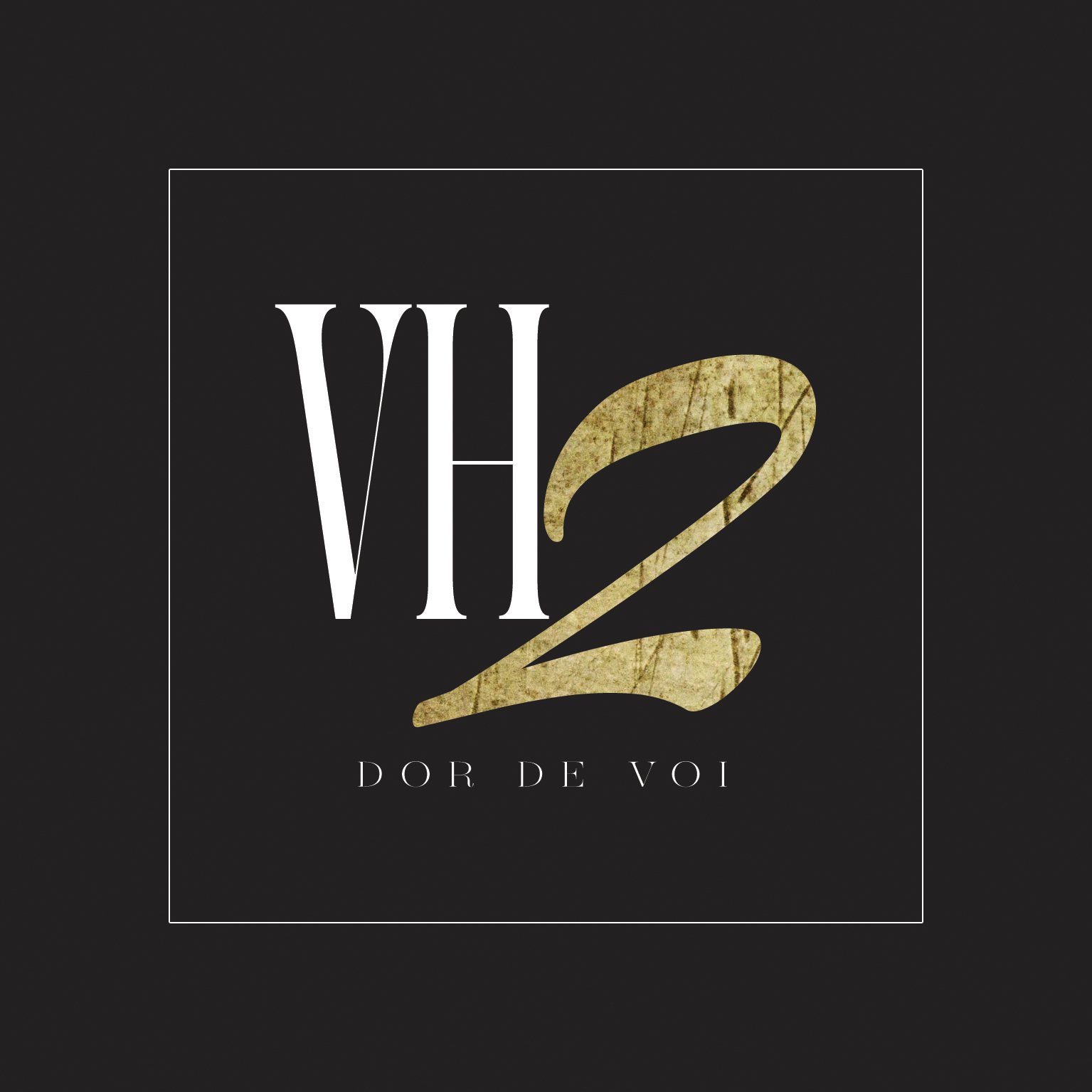 VH2 - Dor de voi (piesa noua)