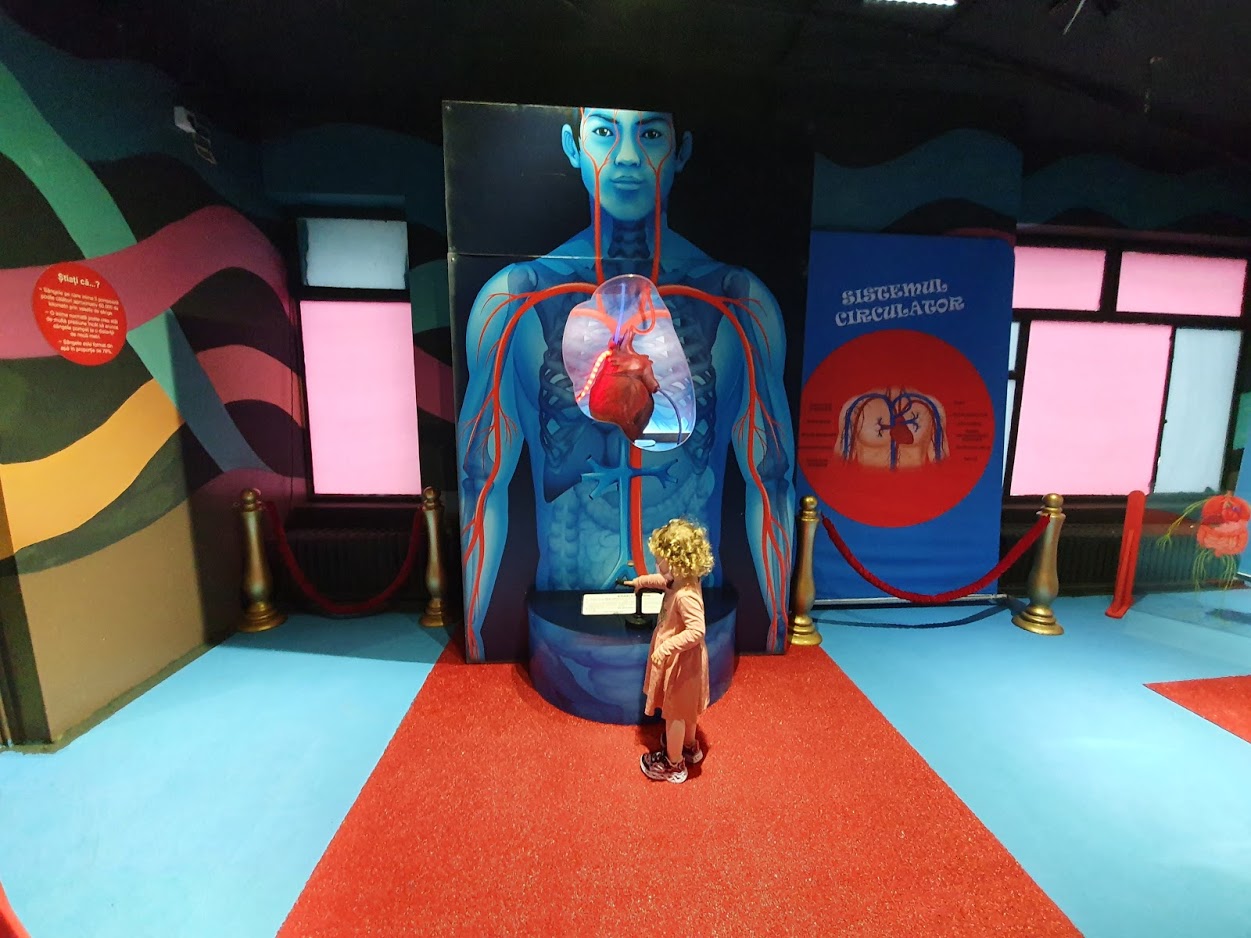 De neratat. Muzeul Copiilor, cel mai mare hub de invatare din Bucuresti, un proiect interactiv ...