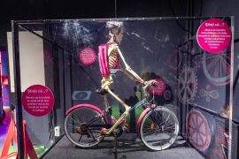 De neratat. Muzeul Copiilor, cel mai mare hub de invatare din Bucuresti, un proiect interactiv ...