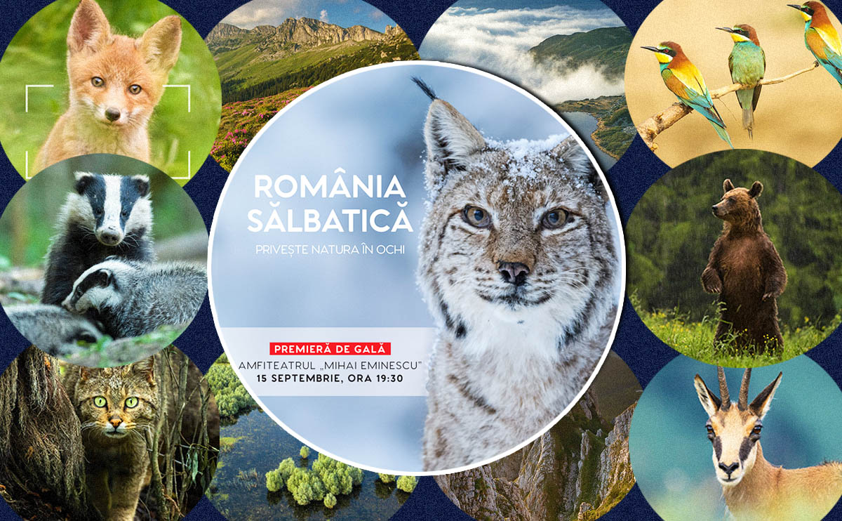 Madalina Paval interpreteaza "Du-ma, vantule!" de pe coloana sonora ...